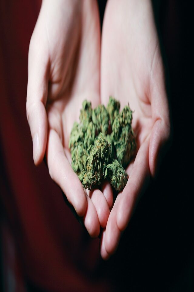 Iowa Medical Marijuana Card | Medical Marijuana Doctors